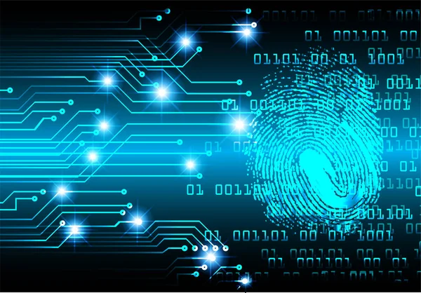 What is the SHA-256 Fingerprint? | IToolkit